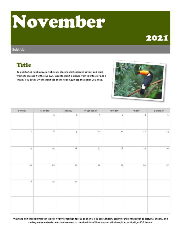 November 2021 Editable Calendar Template | PDF