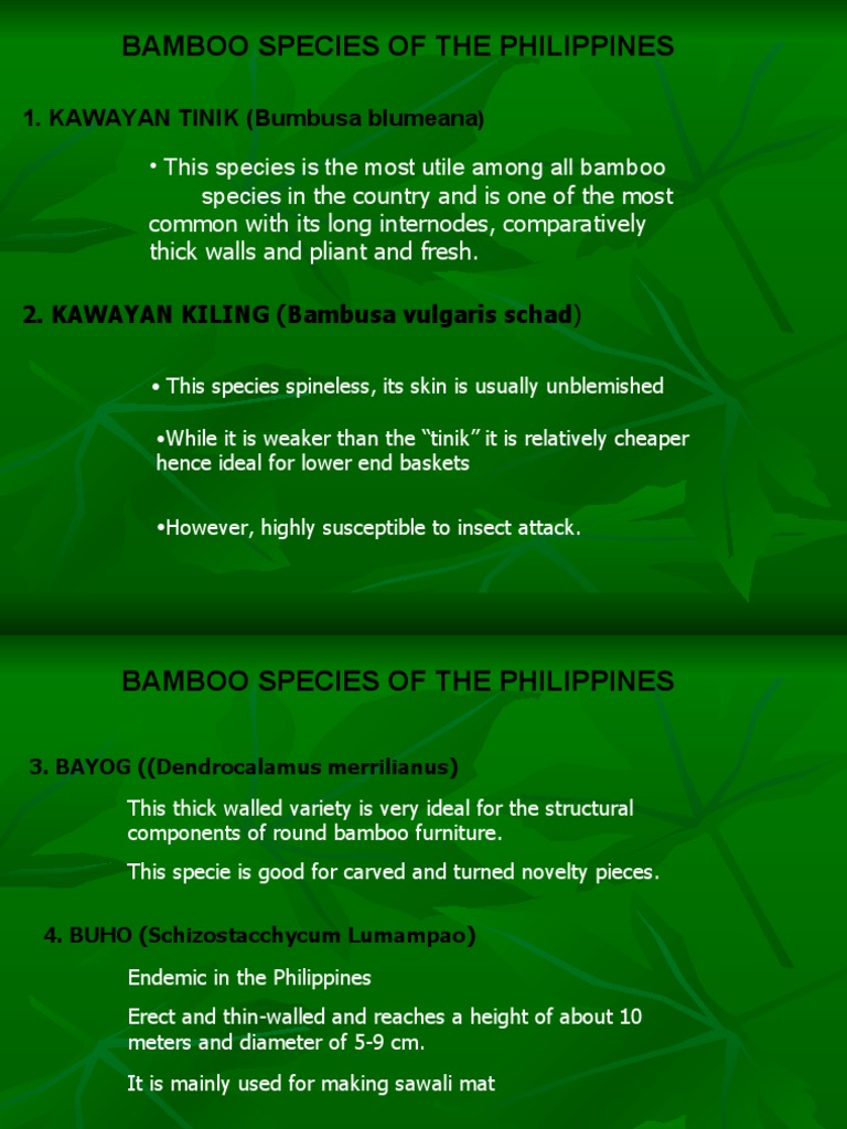 Treatment and Preservation of Bamboo | PDF | Bamboo | Water