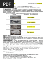 Fault Model For G8 2020 21 1 | PDF | Fault (Geology) | Earthquakes