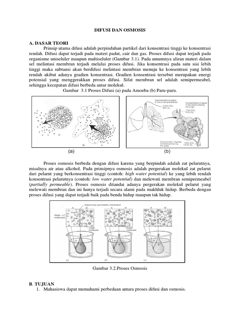 Modul Praktikum Difusi Dan Osmosis | PDF | Sains & Matematika