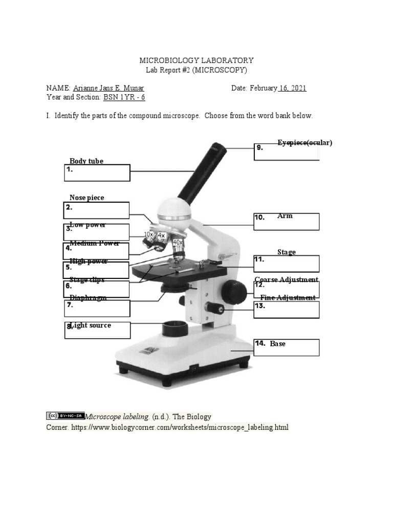 LAB EXERCISE 2 Microscope Ass | PDF | Electromagnetic Radiation ...