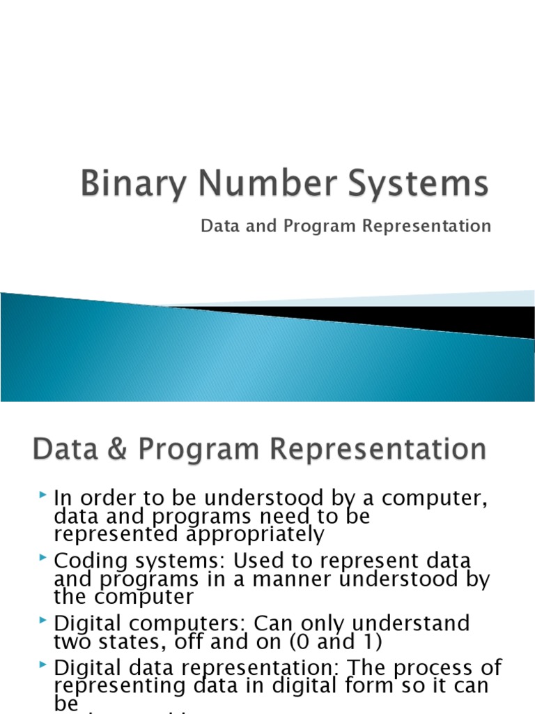 Binary Number Systems | PDF | Byte | Computer Engineering