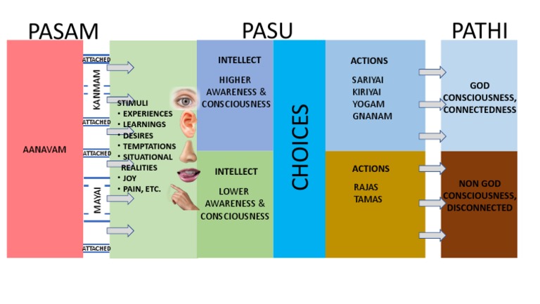 Pasu Pasam Pathi: Actions Intellect GOD Consciousness, Connectedness | PDF