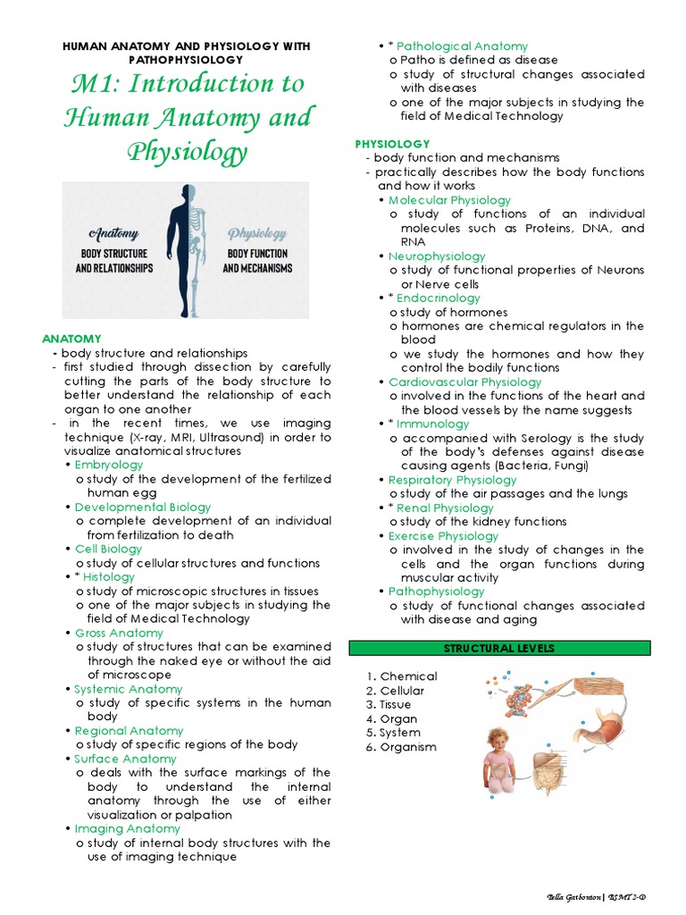 M1: Introduction To Human Anatomy and Physiology | PDF | Cell Membrane ...