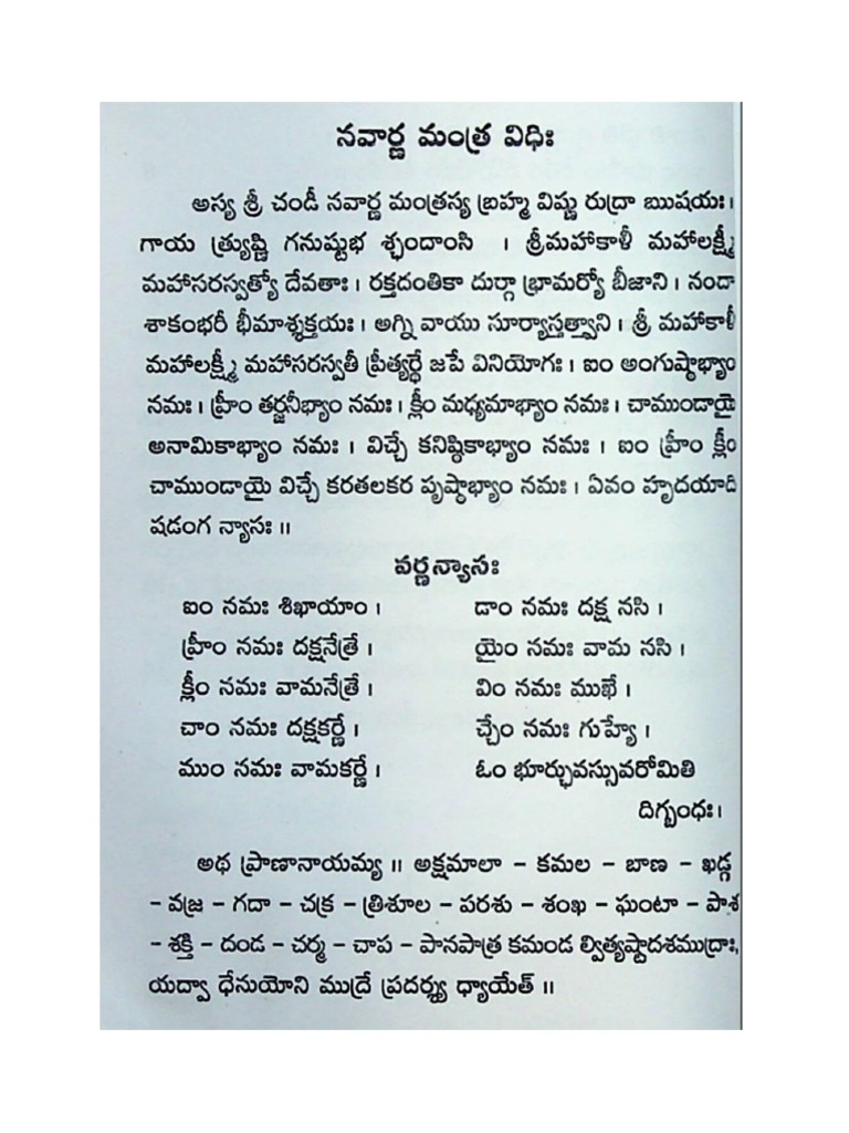 Navarna Mantra Japa | PDF