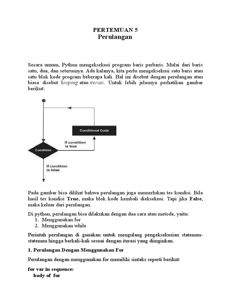 Panduan Perulangan Python | PDF