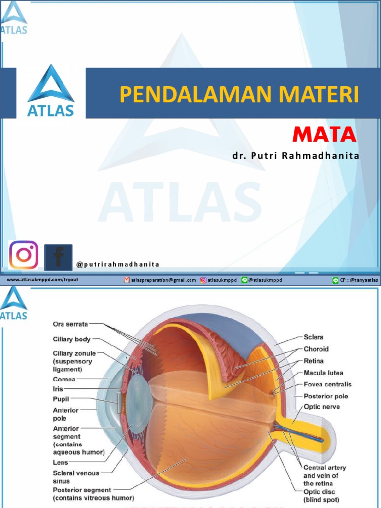 Panduan Astigmatisme dan Miopia | PDF | Sains & Matematika