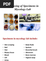 DIFF QUICK Staining Cytology | PDF | Staining | Microscopy