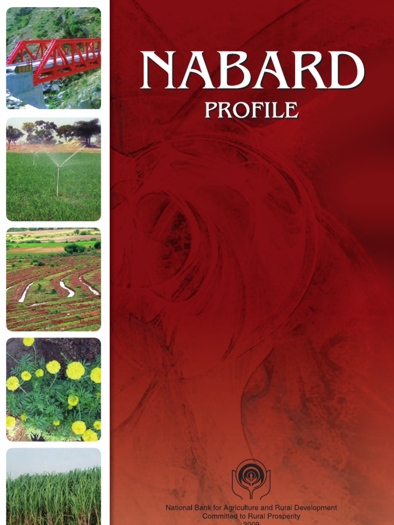 NABARD: Structure and Functions Overview | PDF | Reserve Bank Of India ...