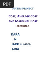 Maths Project LPP | PDF