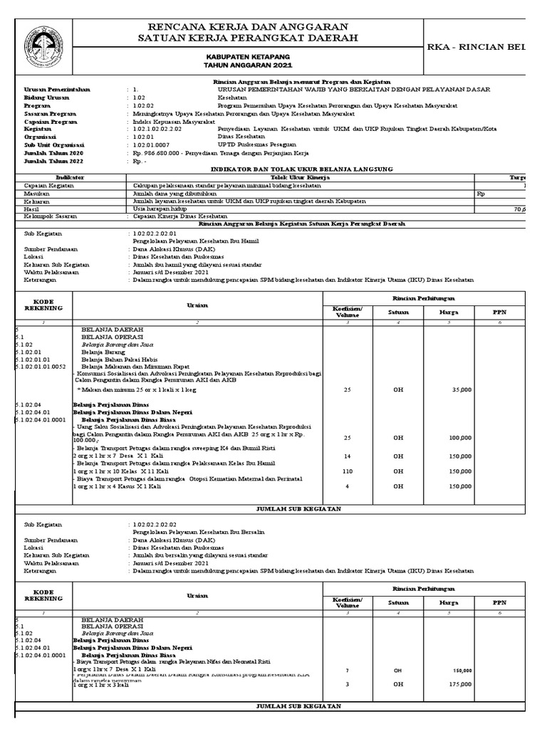 Format RKA Puskesmas UPTD Puskesmas Pesaguan | PDF
