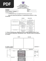 Karapatan at Tungkulin Worksheet | PDF