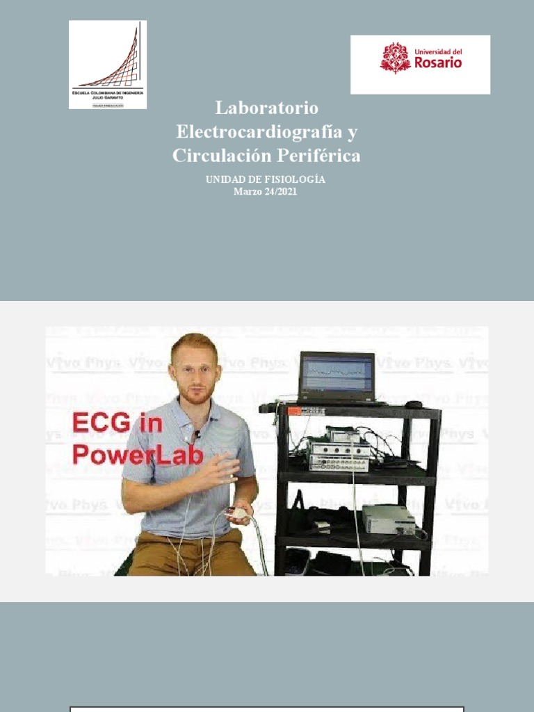 Laboratorio ECG | PDF | Legumbres | Electrocardiografia
