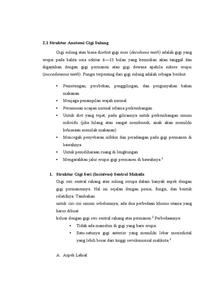 Struktur Anatomi Gigi Sulung | PDF