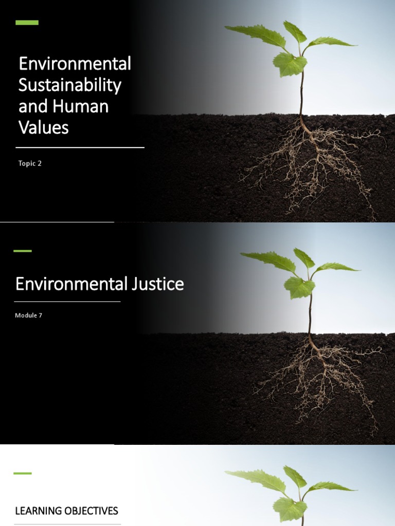 7-Environmental Sustainability and Human Values | PDF