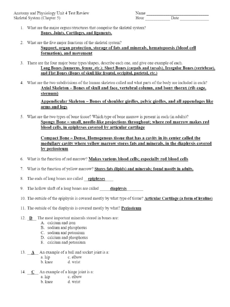 Anatomy and Physiology Unit 5 Test Review | PDF