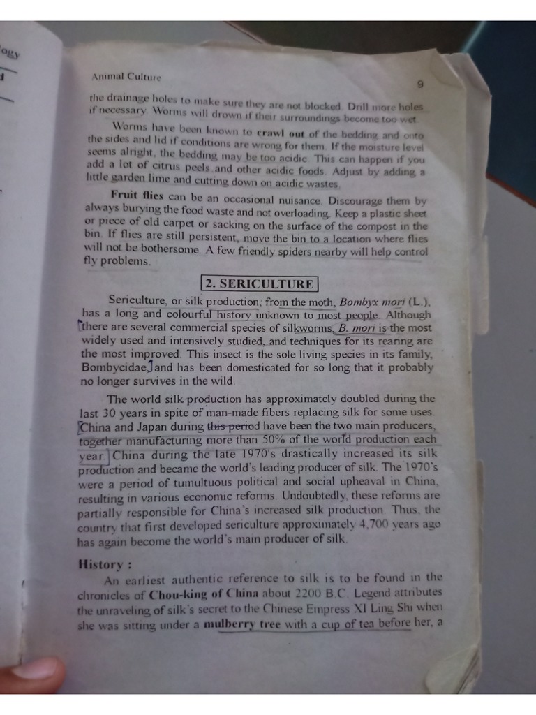 Sericulture Notes | PDF