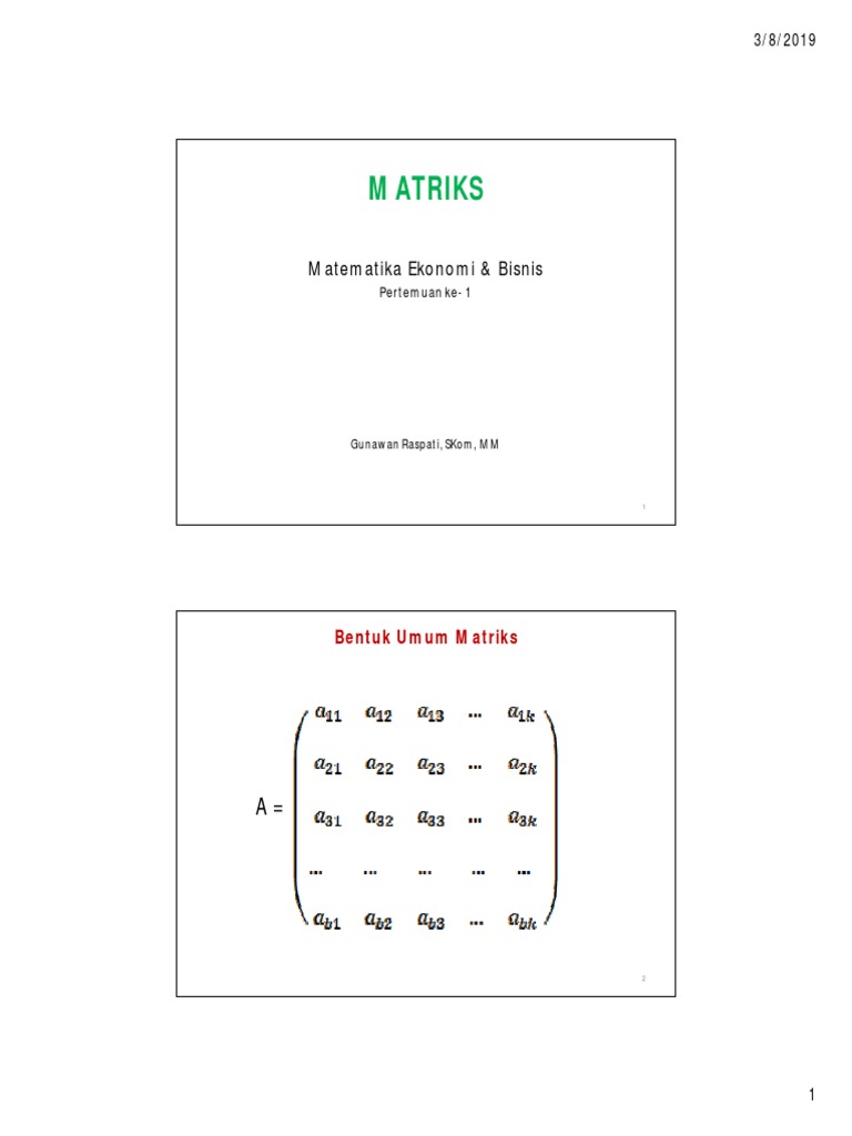 MATRIKS Matematika Ekonomi and Bisnis Pe | PDF