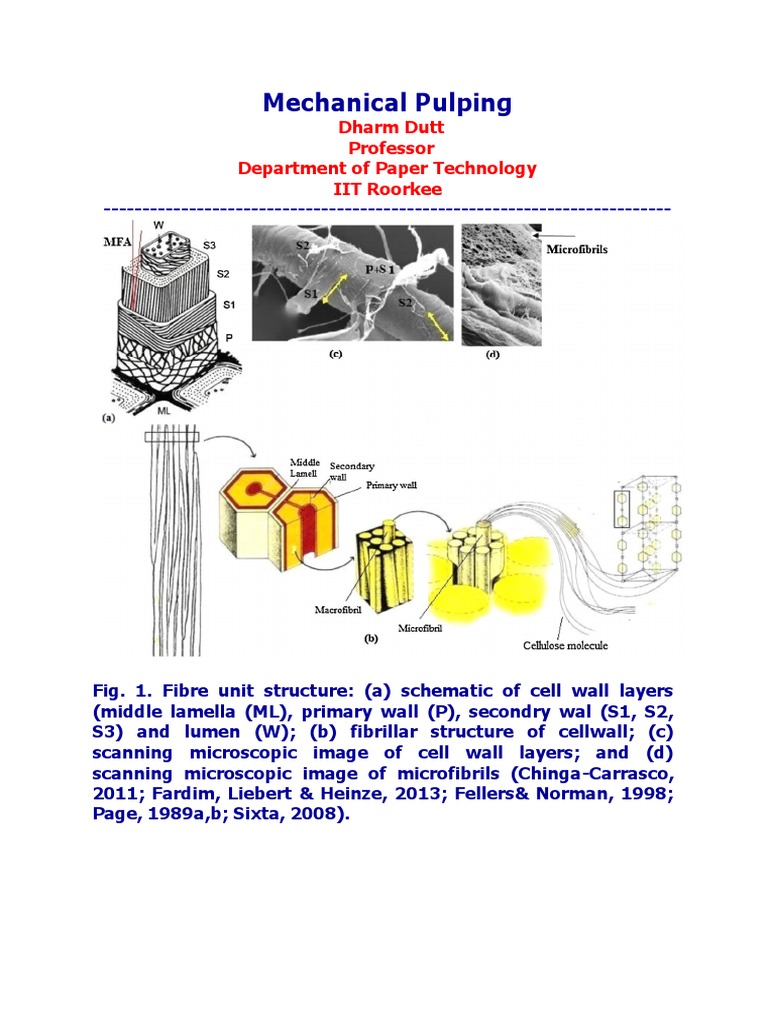Mechanical Pulping12 | PDF | Pulp (Paper) | Wood