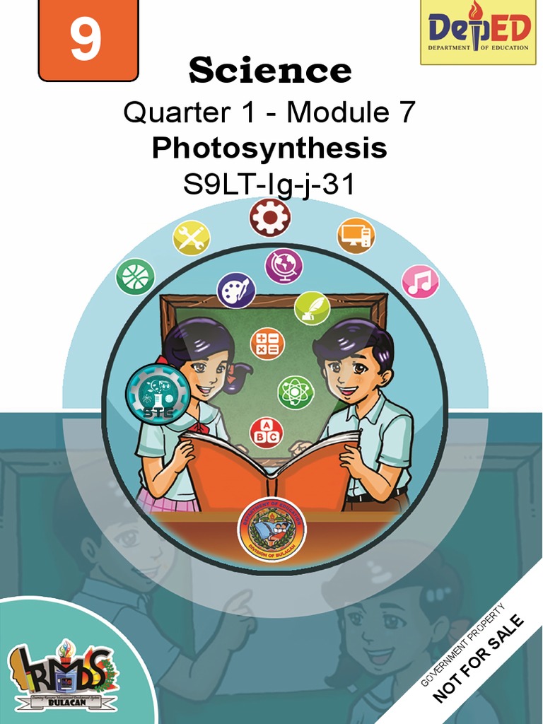 Quarter 1 - Module 7 S9LT-Ig-j-31: Photosynthesis | PDF | Leaf ...