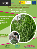 Ficha Técnica Del Pasto Imperial (Axonopus Scoparius, Hitchc) | PDF ...