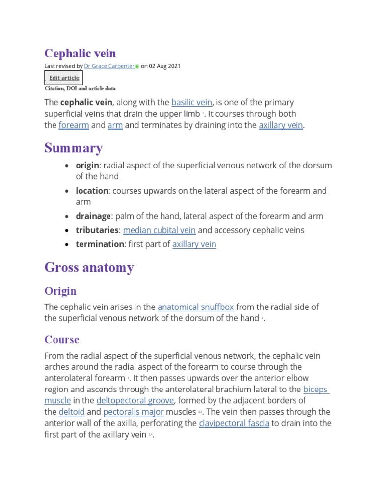 Anatomy of the Cephalic Vein | PDF | Arm | Anatomical Terms Of Location