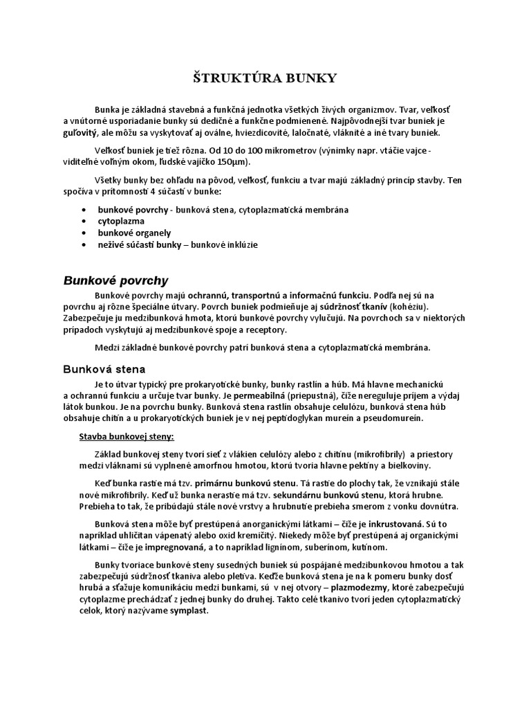 BUNKA - Učebný Text | PDF