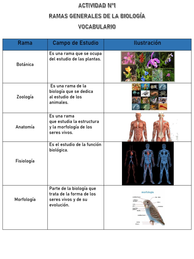 Vocabulario | PDF | Ciencias sociales | Ciencia y matemáticas