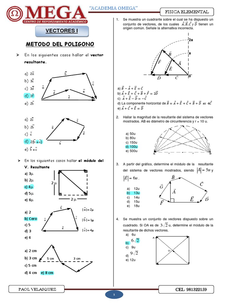 Conceptos básicos de vectores y su aplicación en problemas físicos | PDF | Vector Euclidiano ...
