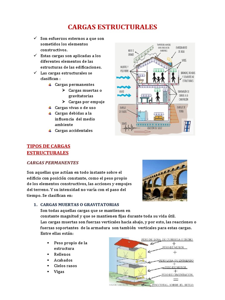 Cargas Estructurales | PDF | Herida | Naturaleza