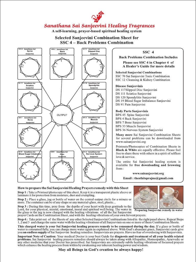 SSC4 Back Problems Combination | PDF