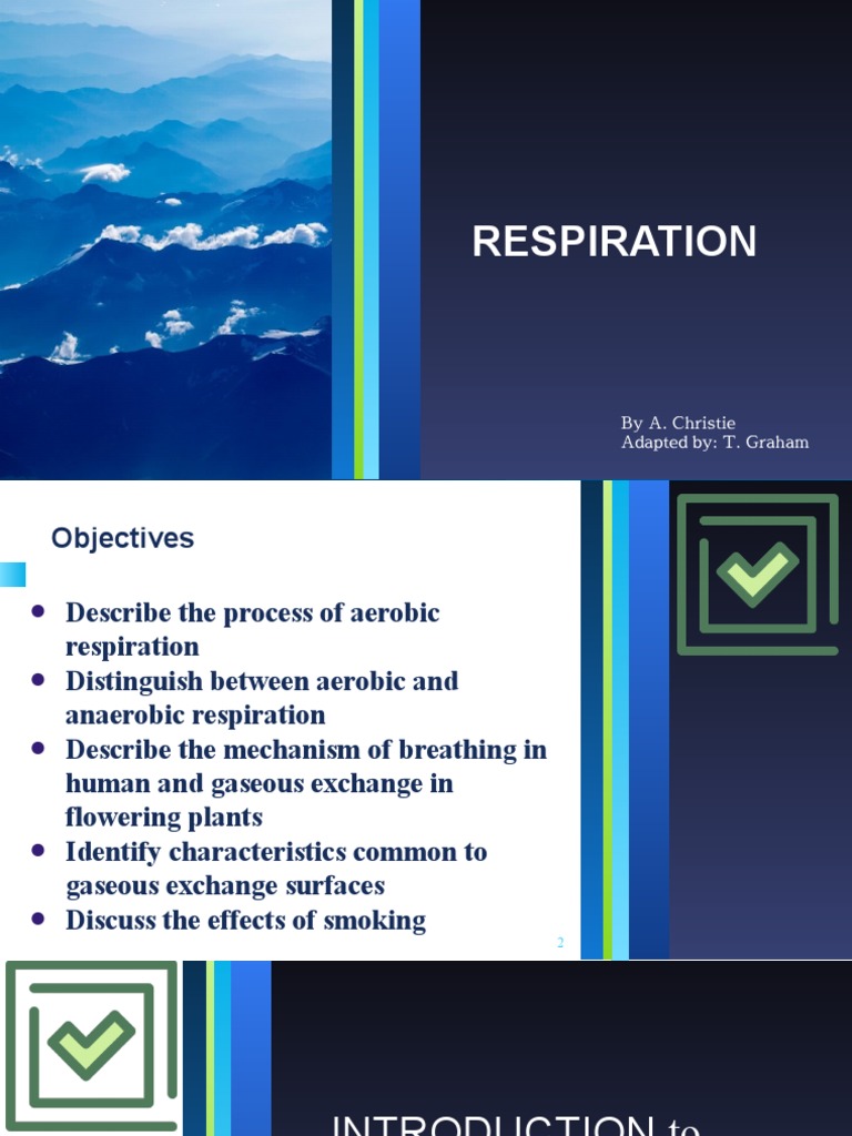 Breathing & Respiration | PDF | Cellular Respiration | Respiratory System