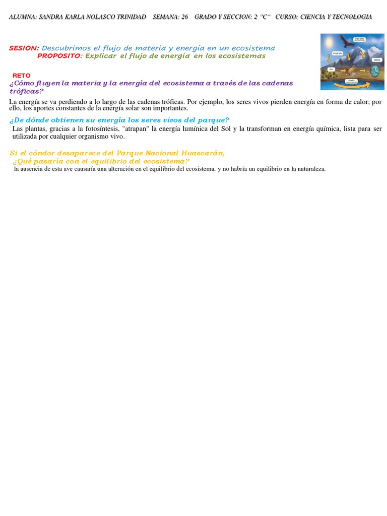 Reto Sandra Karla Nolasco Trinidad Semana 26 Ciencia y Tecnologia | PDF