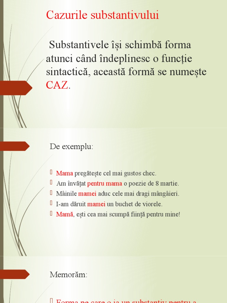 Cazurile Substantivului | PDF
