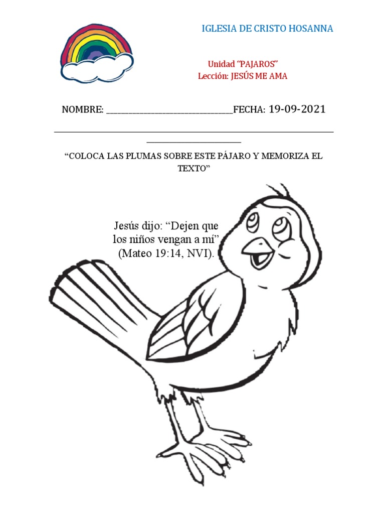 Pagina de Actividades Pajaros | PDF