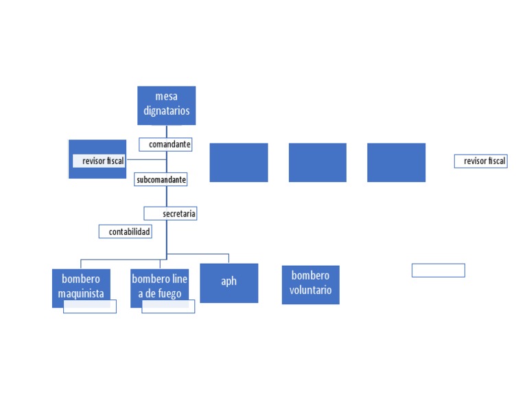 Estructura Institucional | PDF