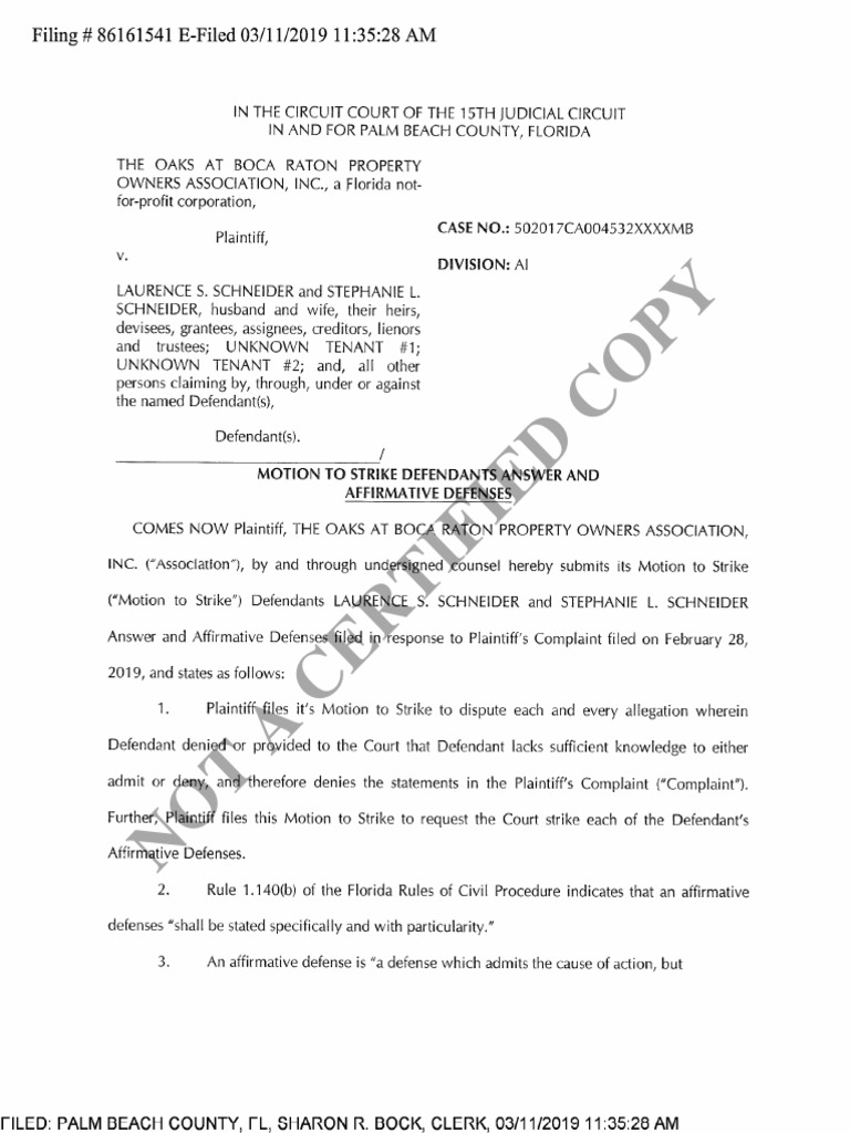 (D.E. 48) Motion To Strike Defendant Schneider's Affirmative Defenses Oaks V Schnieder | PDF