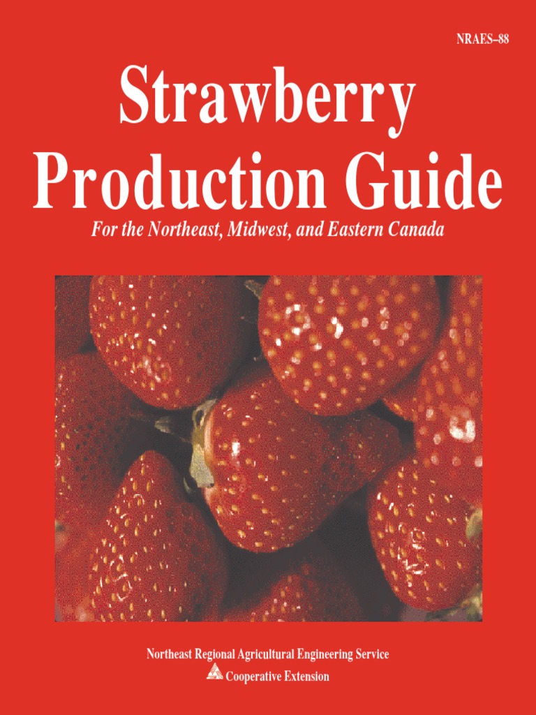 Strawberry Production Guide: For The Northeast, Midwest, and Eastern ...