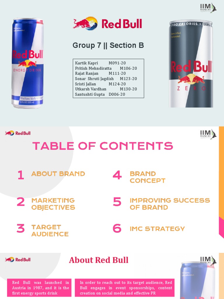 B - Group 7 - Red Bull | PDF | Brand | Target Audience