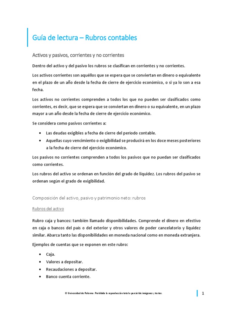 Guía de Rubros Contables: Activos y Pasivos | PDF | Bancos | Contabilidad