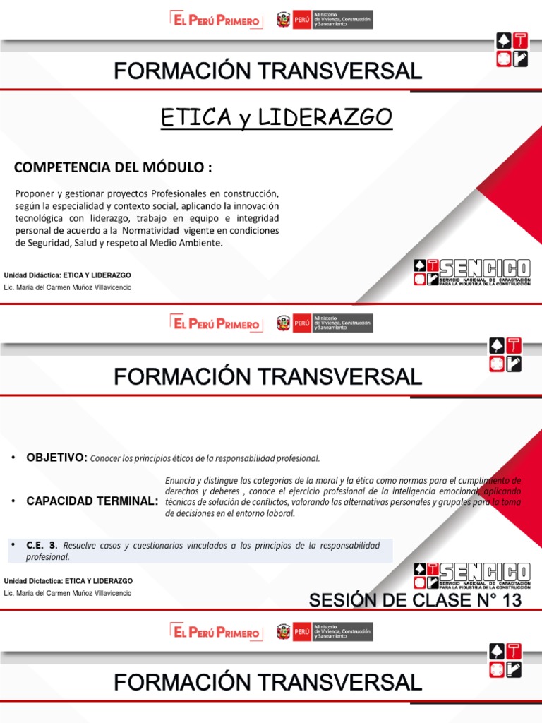 Principios de La Responsabilidad Profesional. | PDF | Ética profesional ...