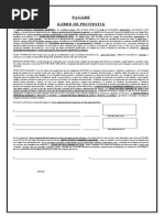 Formato Vale PDF | PDF | Finanzas y dinero