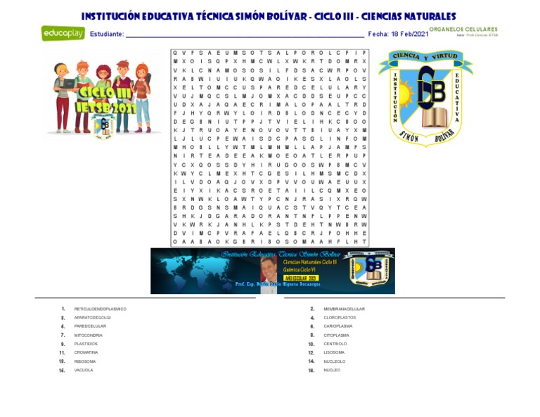 Sopa de Letras # 02 ORGANELOS CELULARES (Biología - Ciclo III) | PDF ...