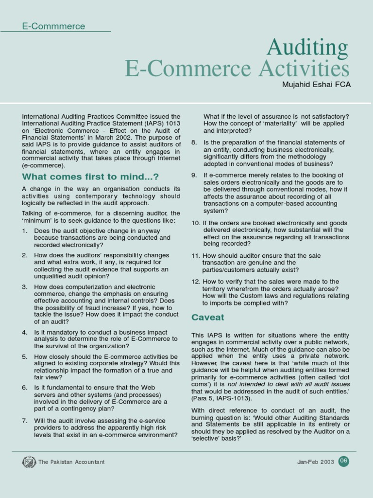 E-Commerce Auditing | Download Free PDF | Internal Control | Audit