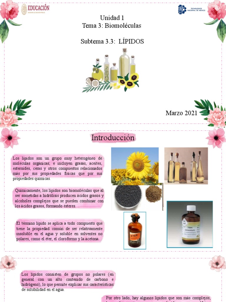 LIPIDOS BIOQUIMICA U3 | PDF | Lípido | Ácido graso