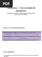 Región Fosa Cigomática | PDF | Anatomía | Cabeza y cuello humanos