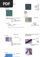 Modul Materi Pemeriksaan LCS | PDF