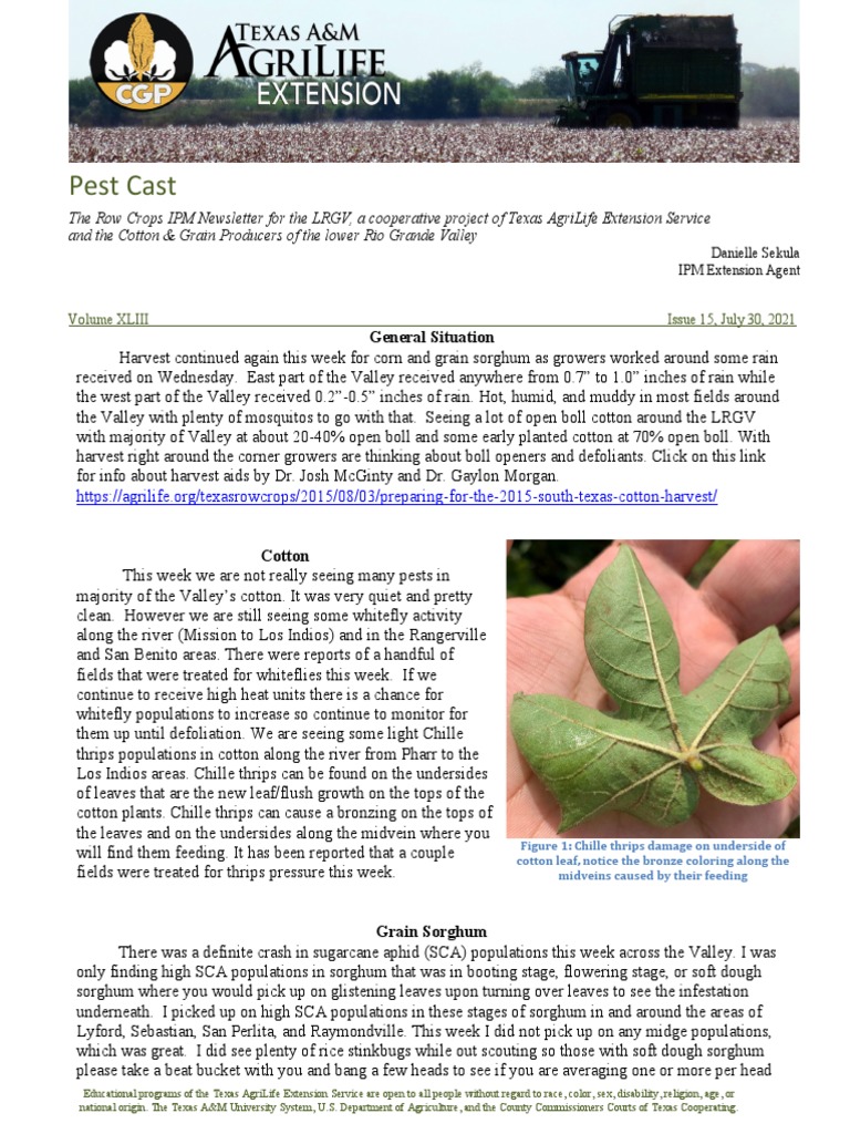 Pest Cast: General Situation | PDF | Plants | Food Industry