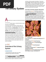 Sample ERAS Application | PDF | United States Medical Licensing ...