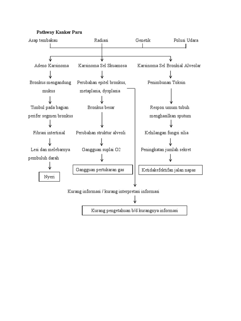 Pathway Kanker Paru | PDF